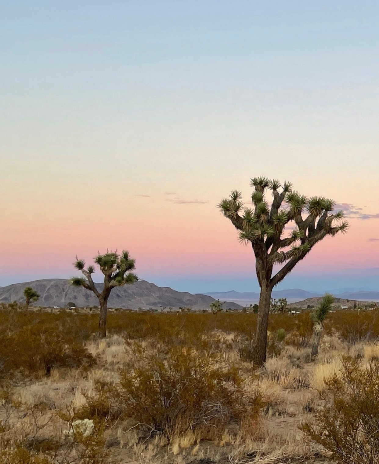 11 Places to See Inside Joshua Tree National Park - Nomacasa